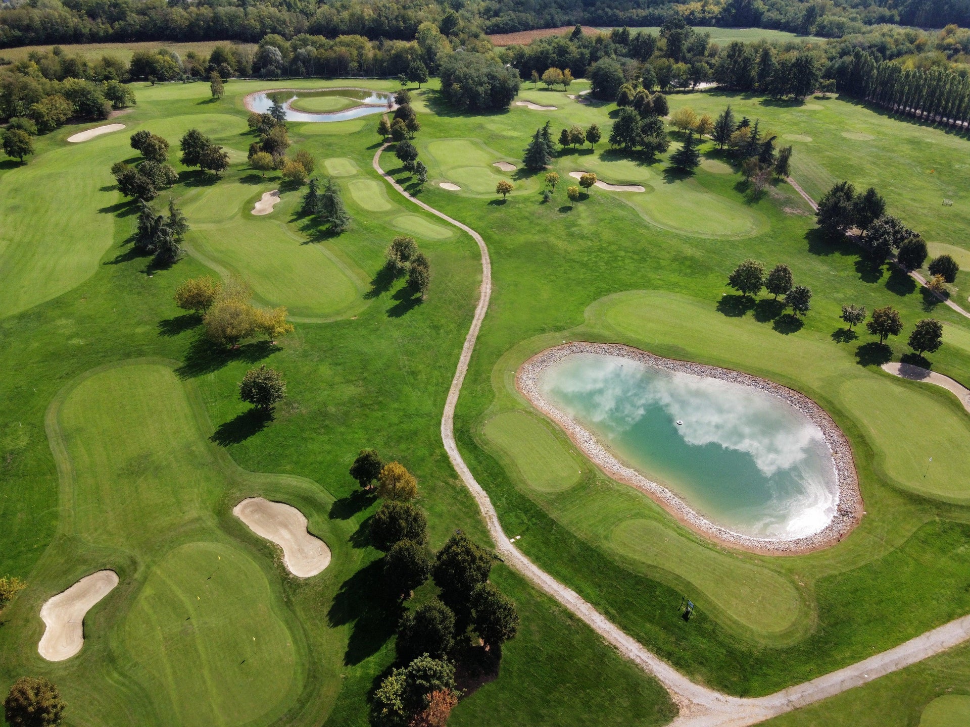 Golf Wall Décor: How to Add a Touch of Golf to Your Home or Office ...